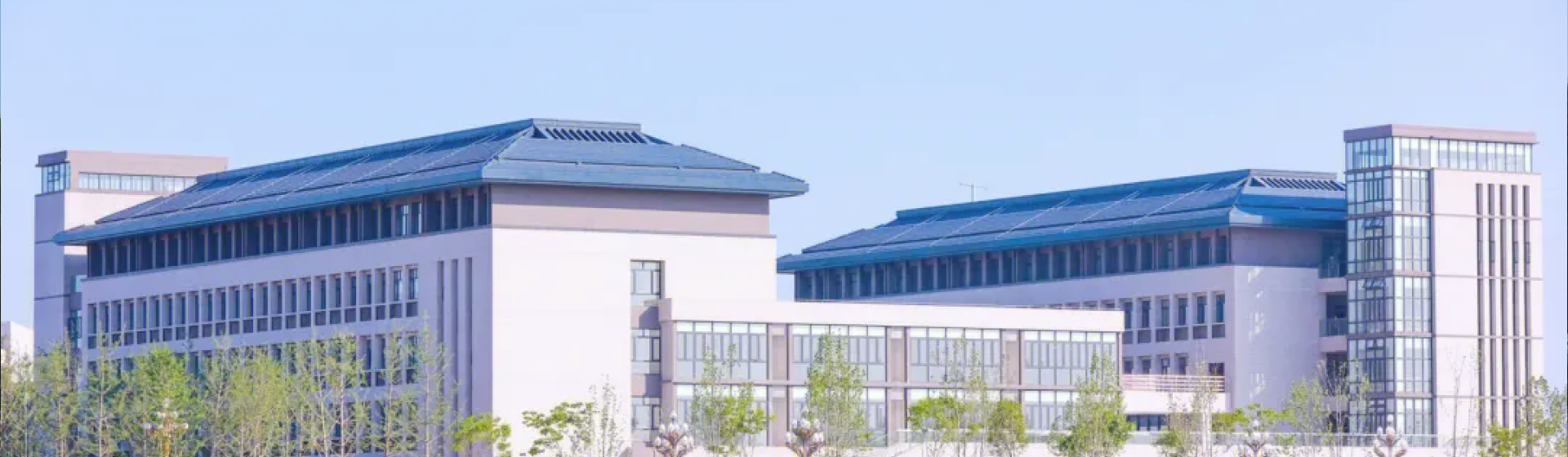 sebms_study_admin_web